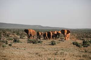 Nature Reserves - Israel Inside Out