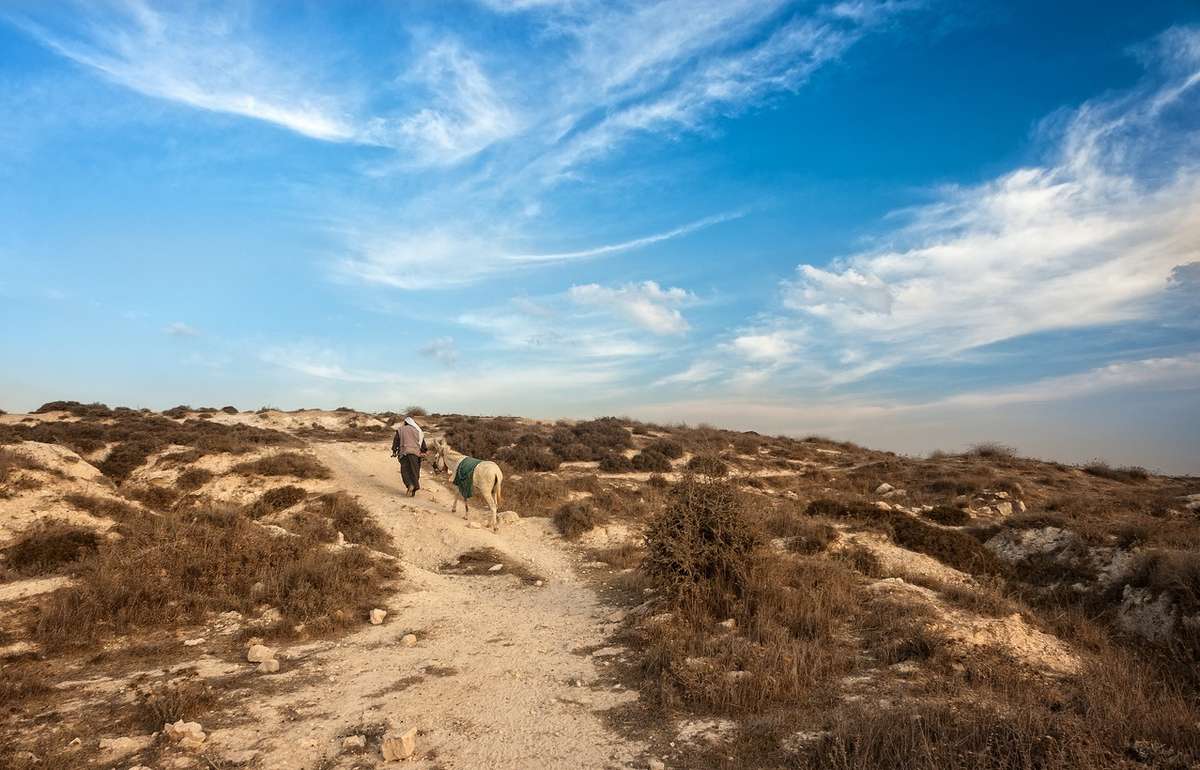 The Most Scenic Roads in Israel - Israel Inside Out
